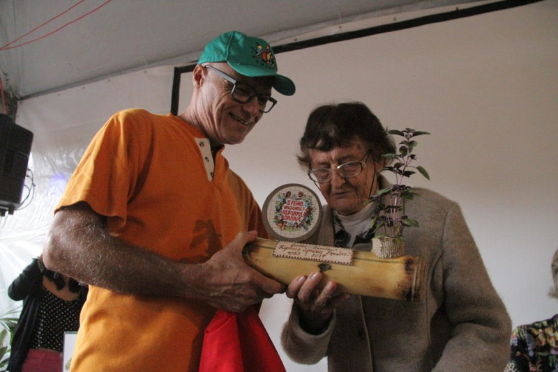 Centenário de Ana Primavesi: a Mãe da Agroecologia no Brasil – Curso de ...